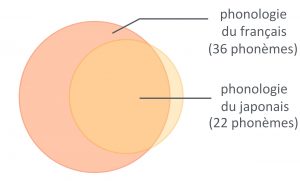Les phonèmes, c’est quoi ? – Lingonaut